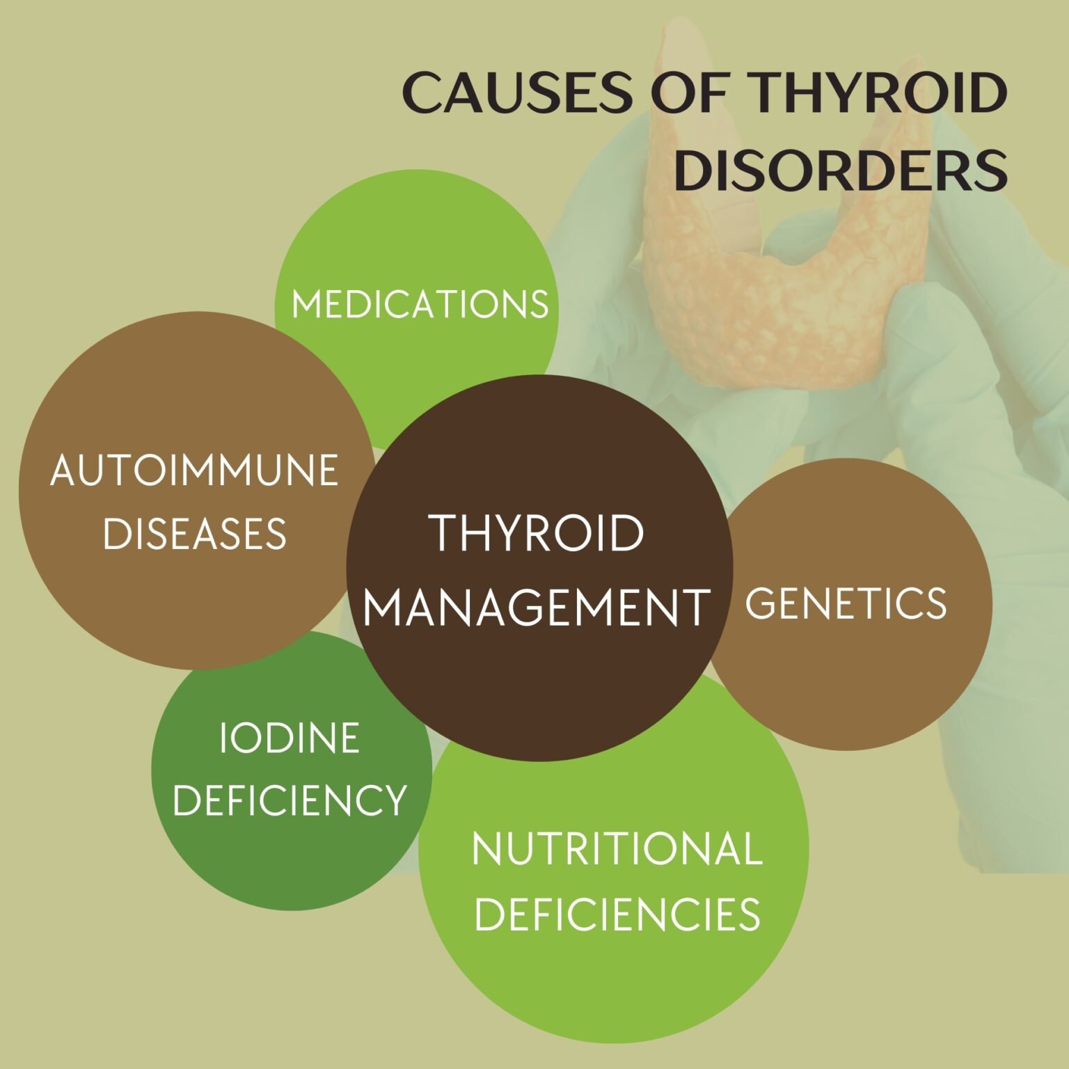 Thyroid Management: Key Tips for Optimal Health